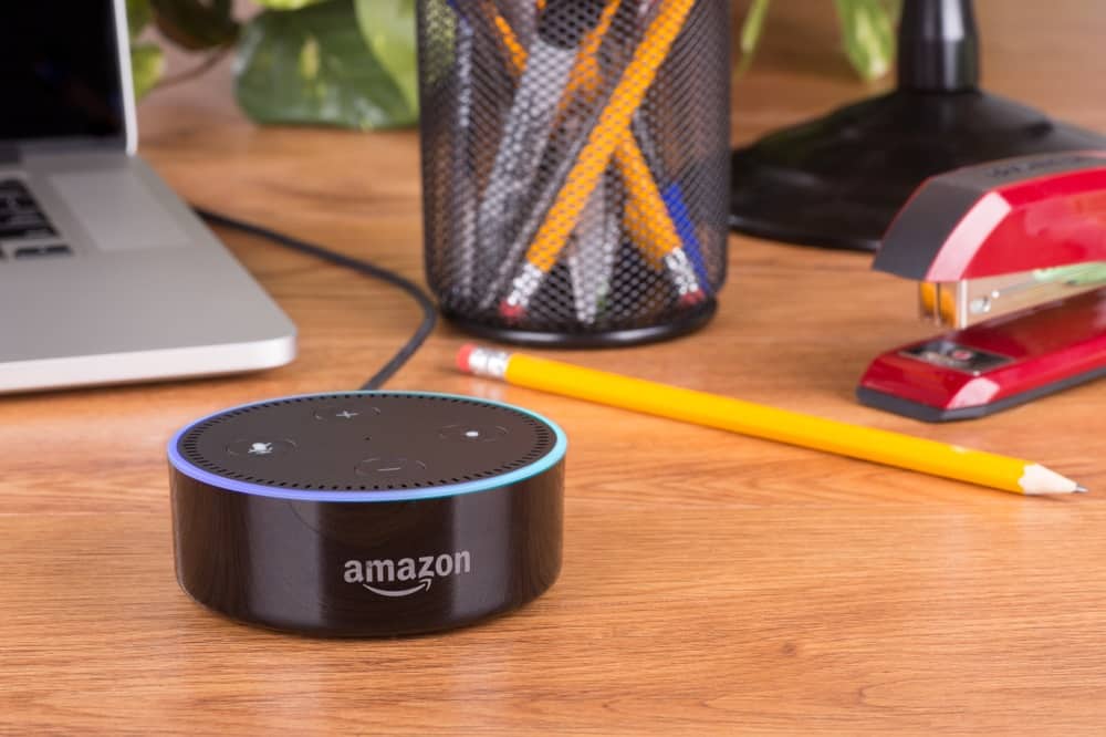 3 Issues That May Caused Why Alexa Blue Light Spinning (Answered) - DIY ...