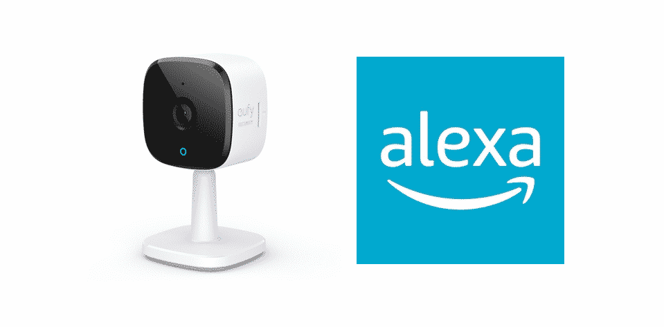 Eufy Alexa "Sorry, Cameras Don't work on This Device" (3 Fixes) - DIY ...