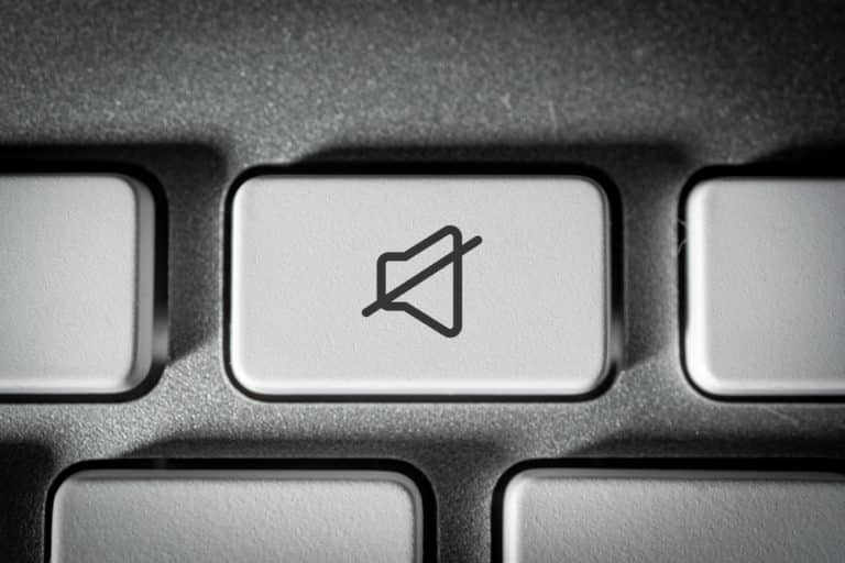 How To Stop Alexa Playing On All Devices? (9 Steps) - DIY Smart Home Hub