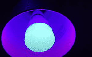 4 Ways To Fix Yeelight Alexa Server Is Unresponsive - DIY Smart Home Hub