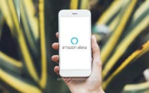 Is It Possible To Set Up Echo Dot Without App? - DIY Smart Home Hub