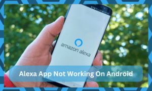 9 Ways To Fix Alexa App Not Working On Android - DIY Smart Home Hub