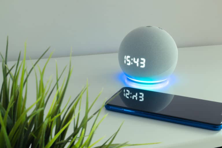 How To Stop Alexa Playing On All Devices? (9 Steps) - DIY Smart Home Hub