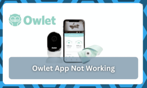 8 Solutions For Owlet App Not Working - DIY Smart Home Hub