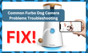 5 Common Furbo Dog Camera Problems Troubleshooting - DIY Smart Home Hub