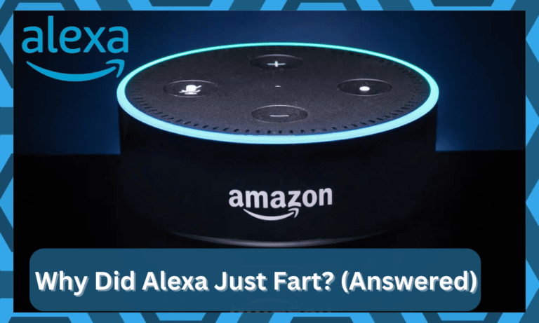 Why Did Alexa Just Fart? (Answered) - DIY Smart Home Hub