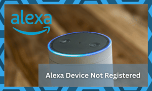 6 Solutions For Alexa Device Not Registered - DIY Smart Home Hub