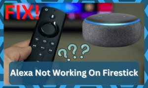 11 Ways To Fix Alexa Not Working On Firestick - DIY Smart Home Hub