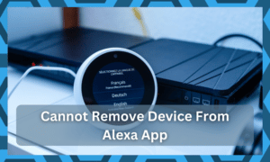 2 Ways To Fix Cannot Remove Device From Alexa App - DIY Smart Home Hub