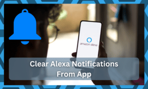 5 Things To Know About Clear Alexa Notifications From The App - DIY ...